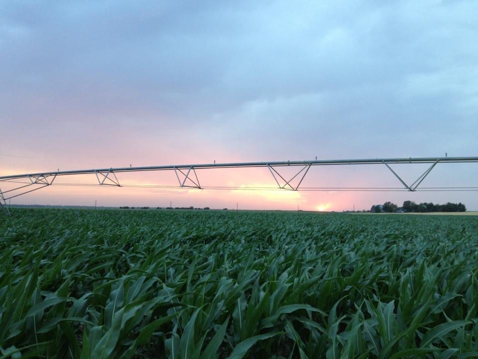 Crop Hail Insurance | Pfizenmaier Crop Insurance of Clay Center KS